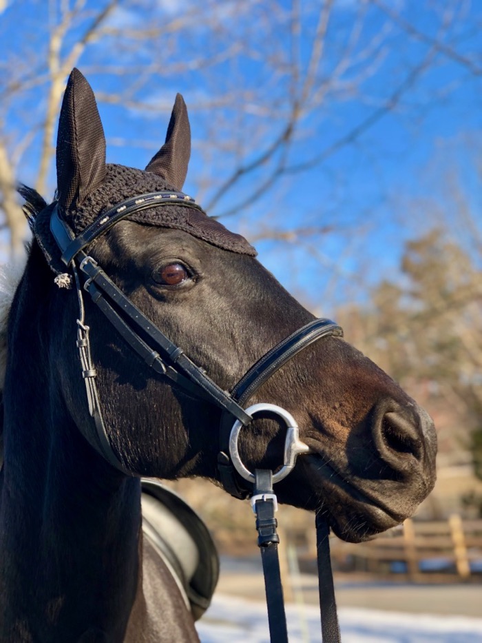 Ear Bonnet – Terry Golson