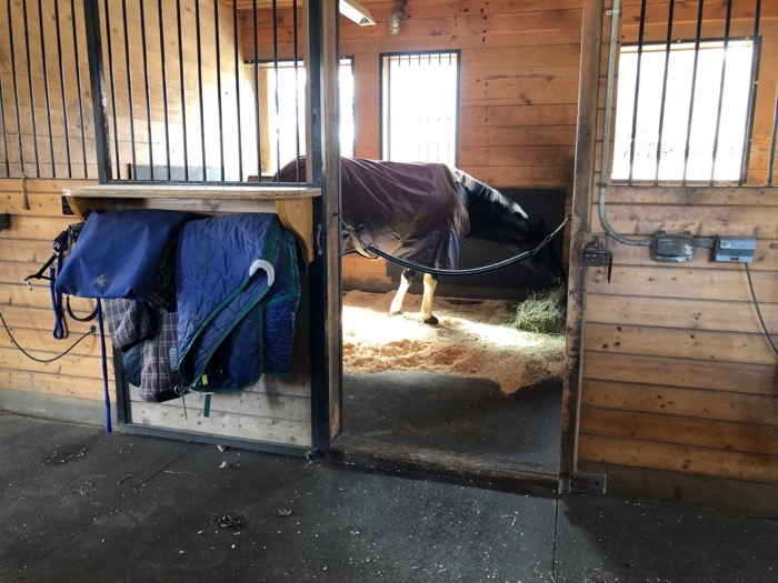 A Stall for Tonka – Terry Golson