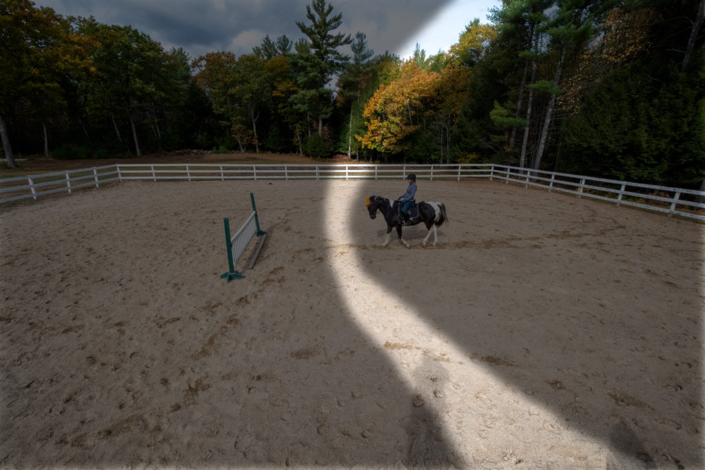 Horse Vision – Terry Golson