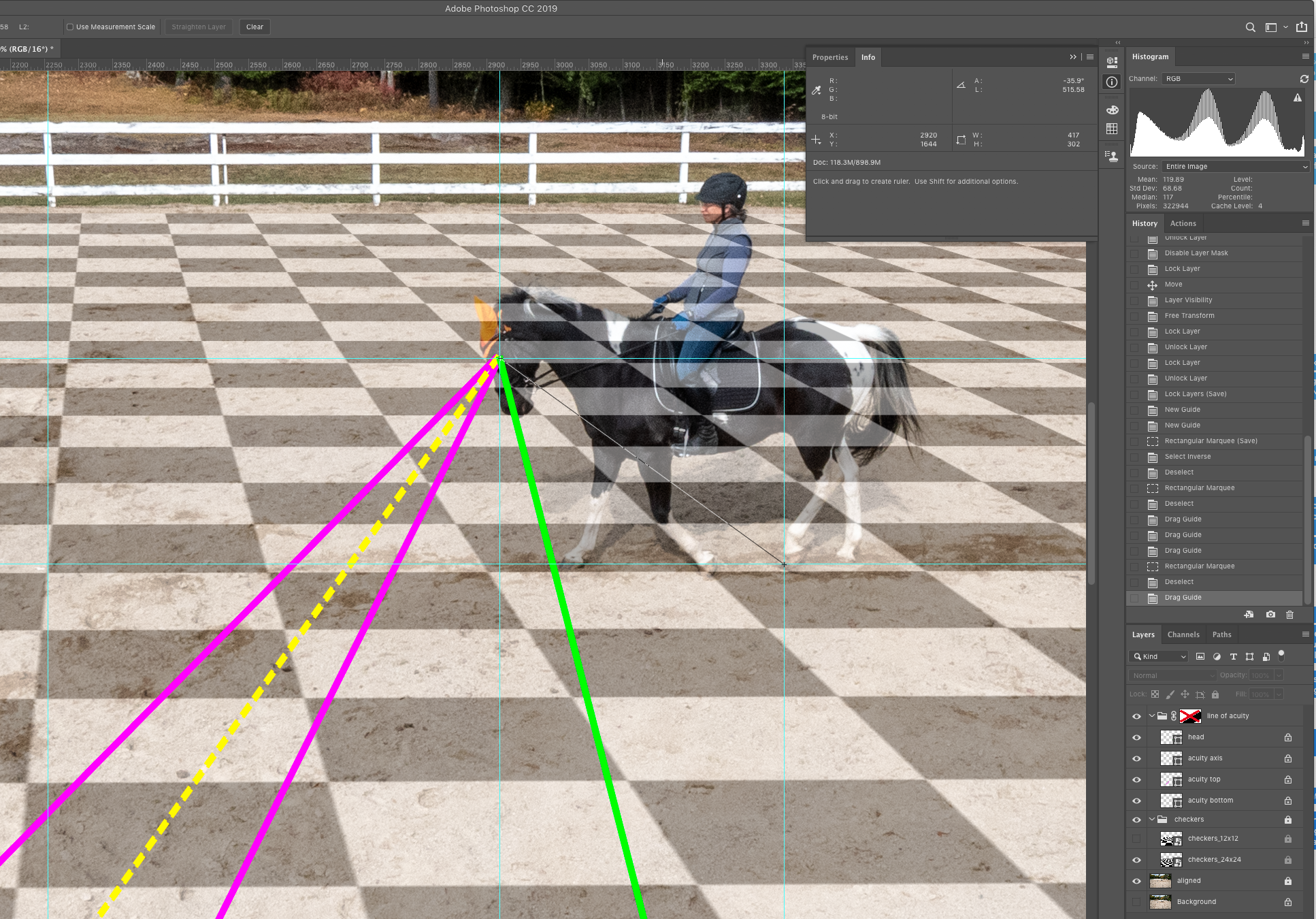 Horse Vision – Terry Golson